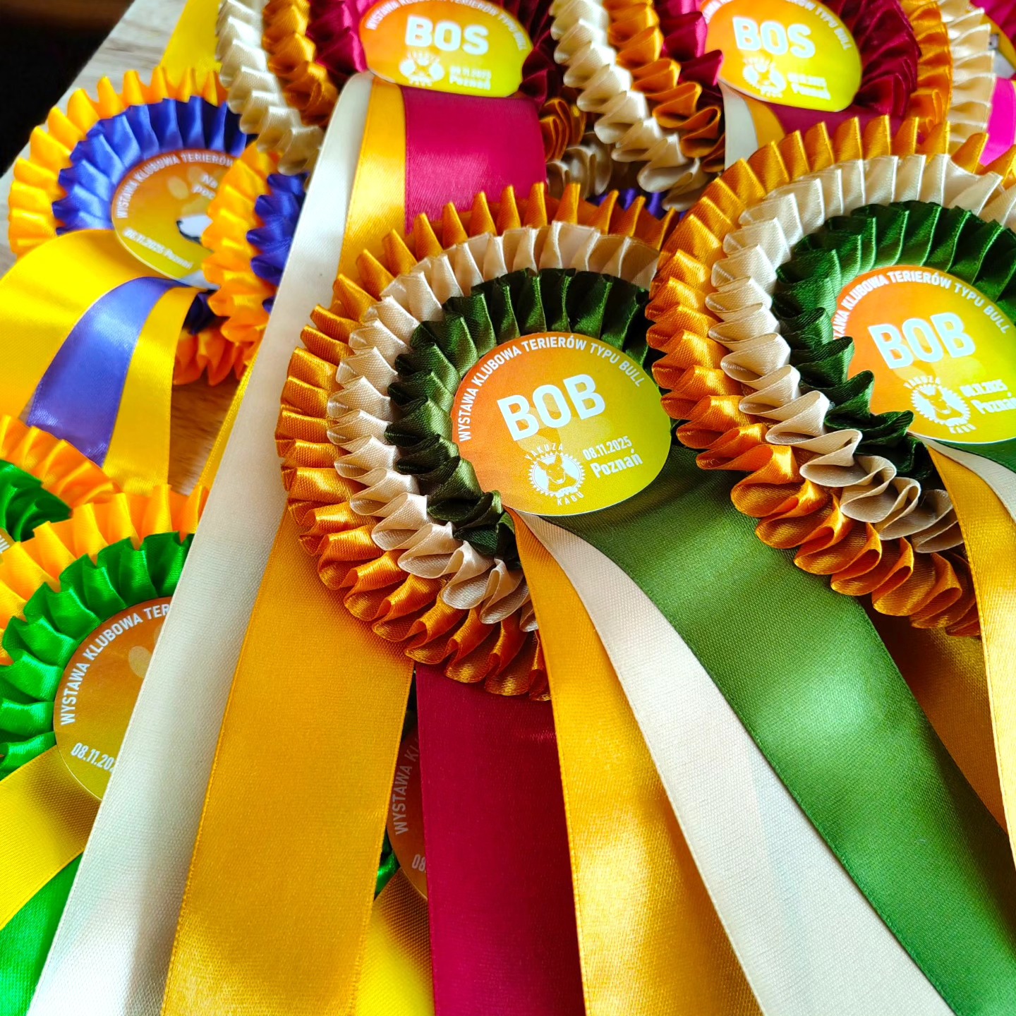 Rosettes – History, Significance, and Modern Uses - Flotylion.com